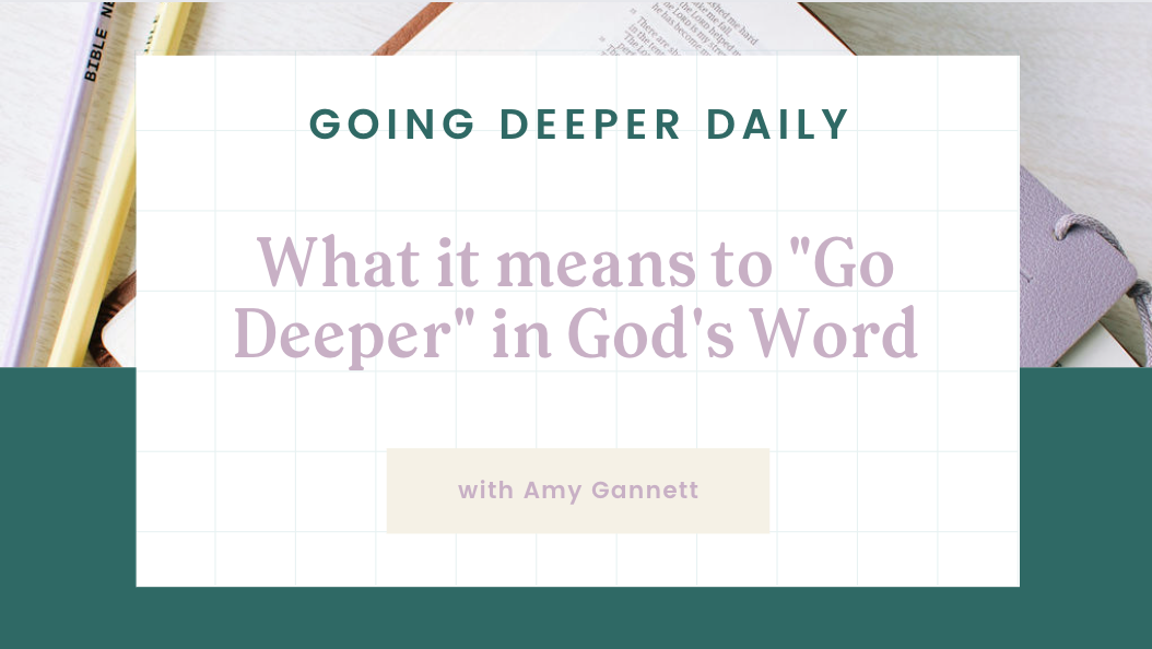 Going Deeper Daily: What it means to go deeper with Amy Gannett – The ...