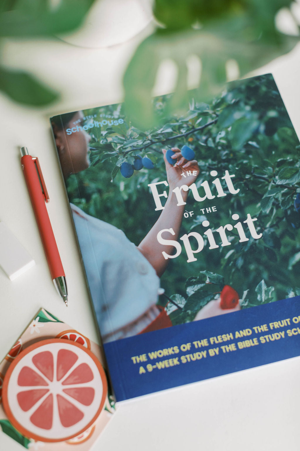 Fruit of the Spirit Study | 9 Week Study of Galatians 5 – The Bible ...